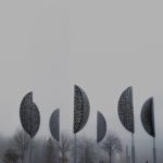 Wind Leaves – NED KAHN