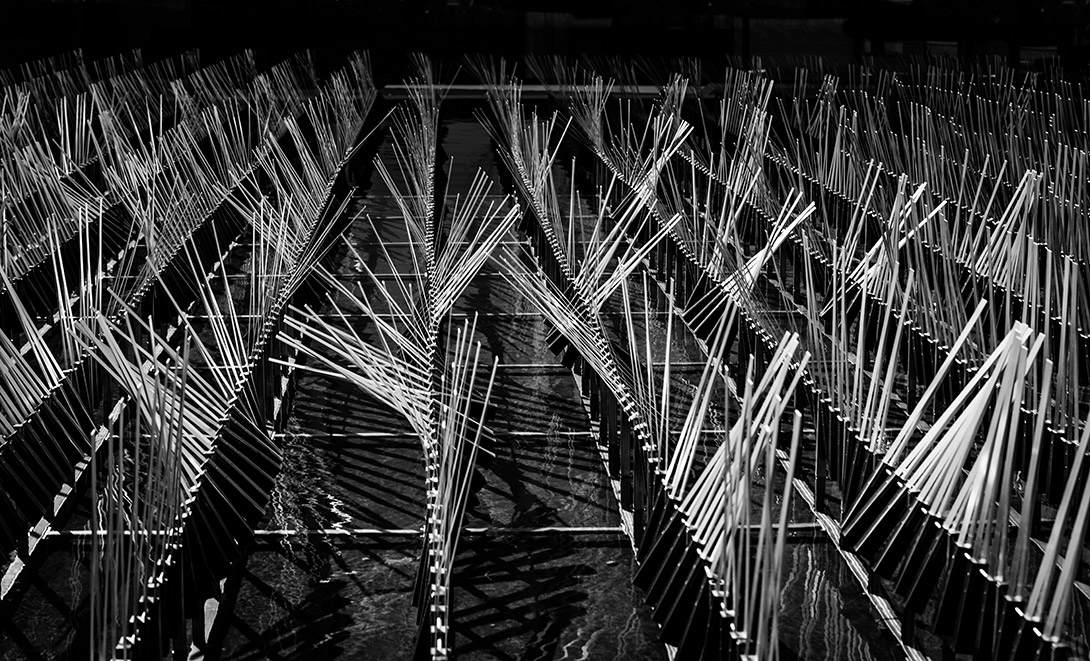 Portfolio – NED KAHN